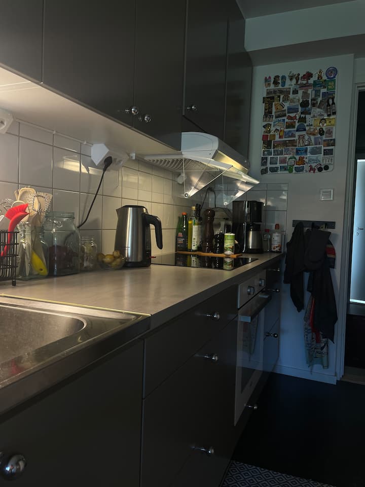 Private Room In Central Sthlm - Stockholm