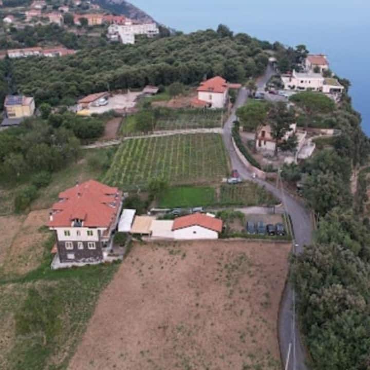 The Cottage - Agerola