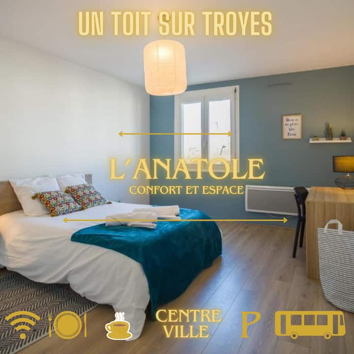 L'anatole - Troyes