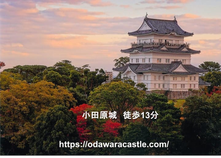 Hakone Stay/60min From Tokyo/8pax/free Parking - Odawara