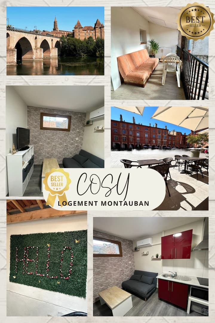 1 Studio Refait à Neuf Au Cœur De Montauban - ibis Montauban