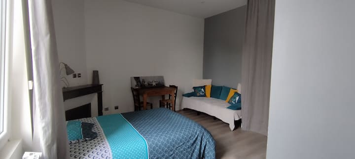 Chambre Pour 1 Adulte Avec Sde - Langon
