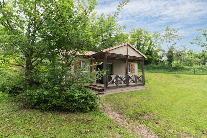 Grand Cottage Rose #71 - Gannat