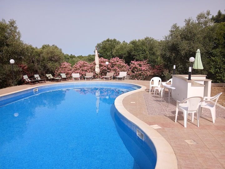 Spacious Villa With Private Pool In Olive Groves - Italia