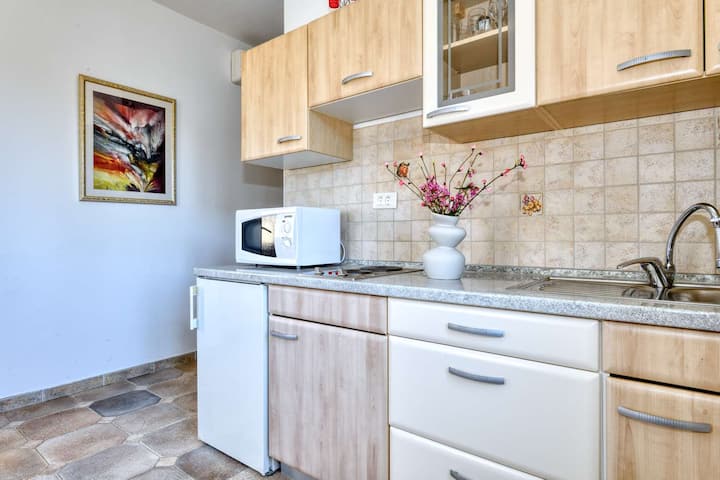 Apartment Romano With Terrace In A Quiet Location - Rovinj