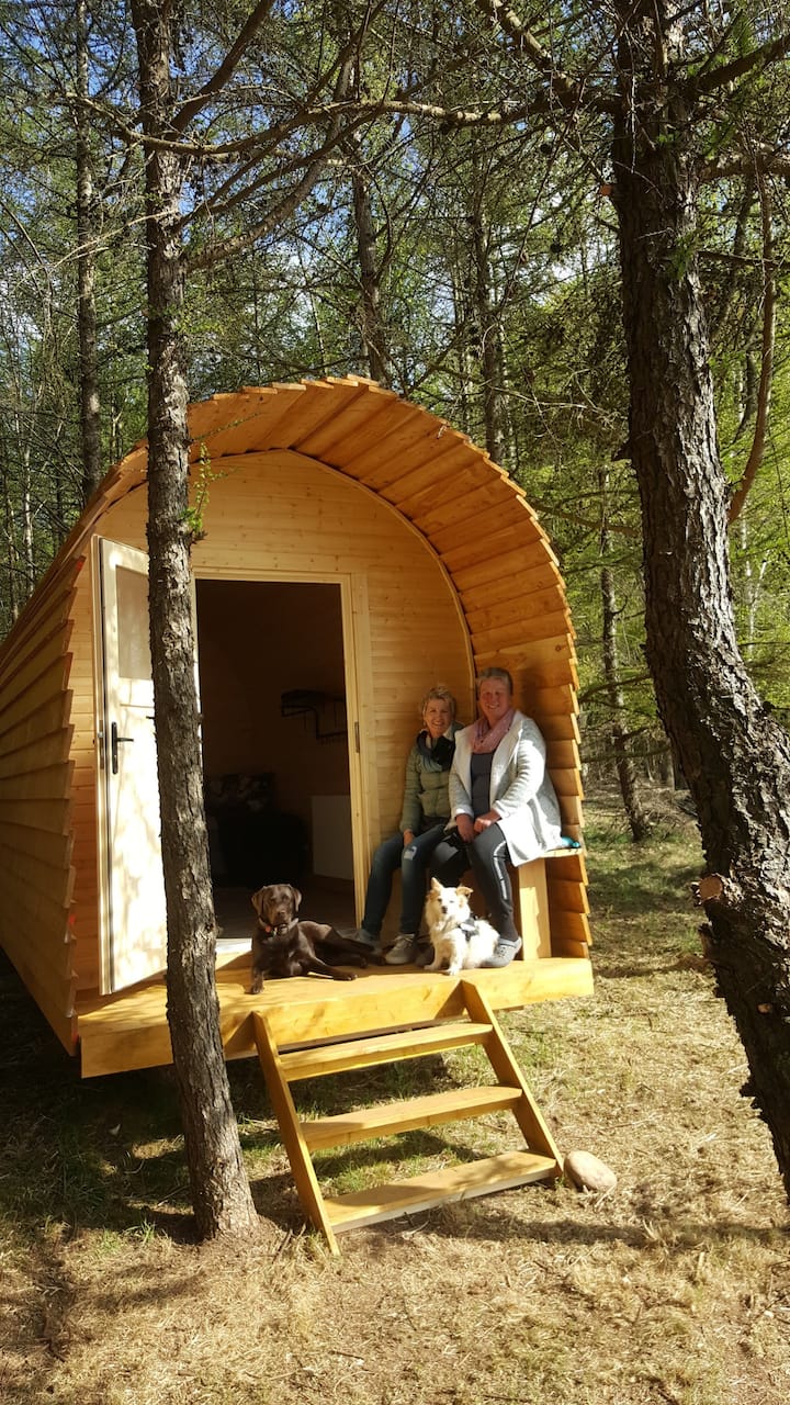 Glamping Pod Am Waldrand Bei Cux-glamping - Cuxhaven