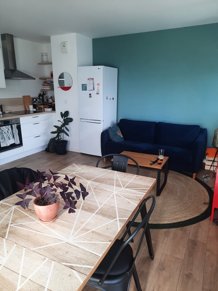 Chambre Dans Un Joli T3 Lumineux Et Proche Métro - Rennes
