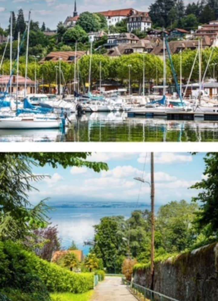 Un Havre De Paix Avec Jardin Entre Lac Et Montagne - Thonon-les-Bains