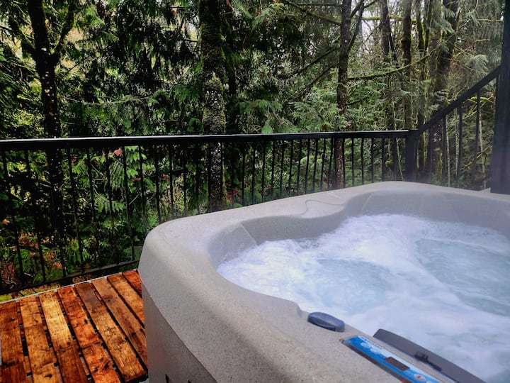 Secluded Oasis! - Maple Ridge