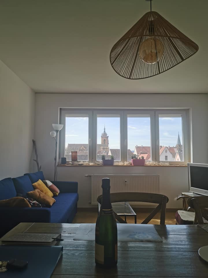 Appart Colmar Centre Avec Garage - 콜마르