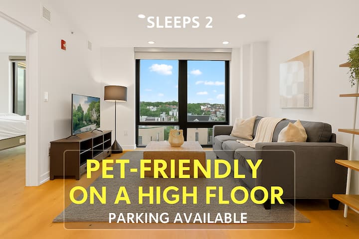 Contemporary | Downtown | Views - Takoma Park, MD