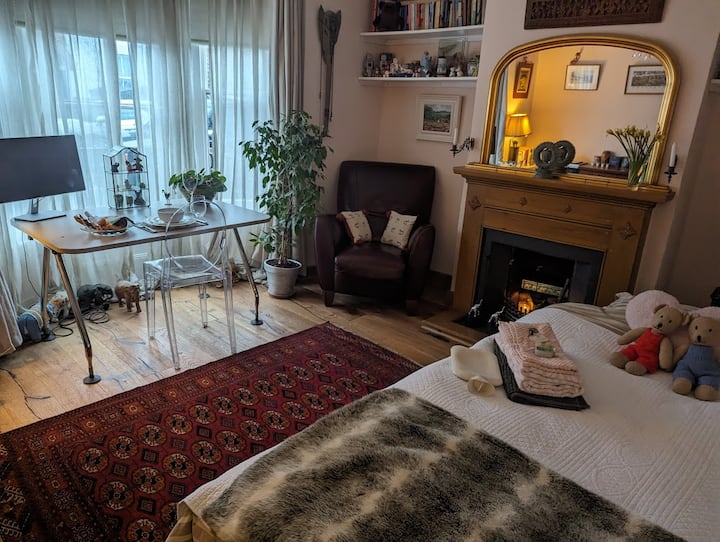 Beautiful, Centrally Located Bedsit - Oxford