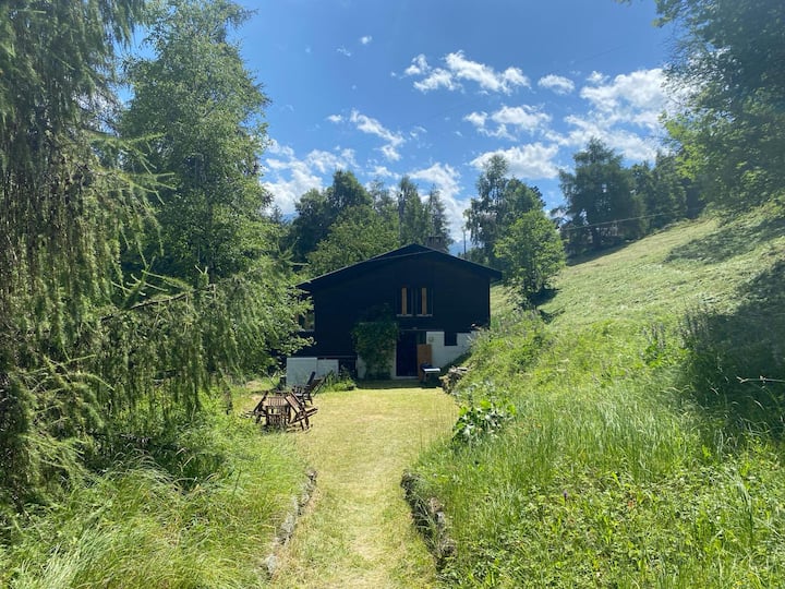 Chalet De Montagne En Suisse - Nax