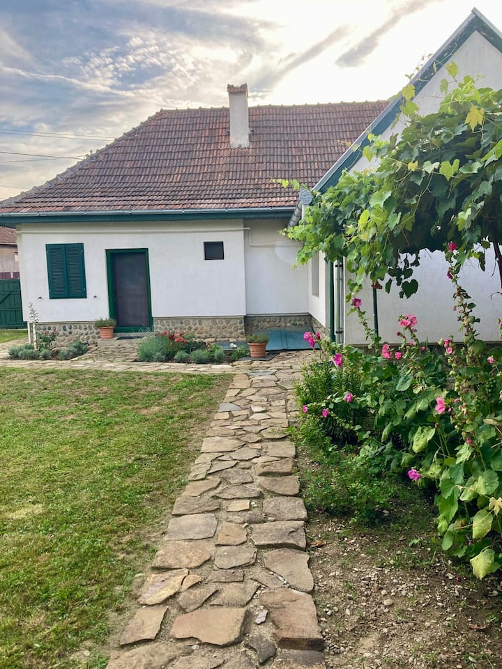 Arpasu De Sus - Casa Veronica - Cârțișoara
