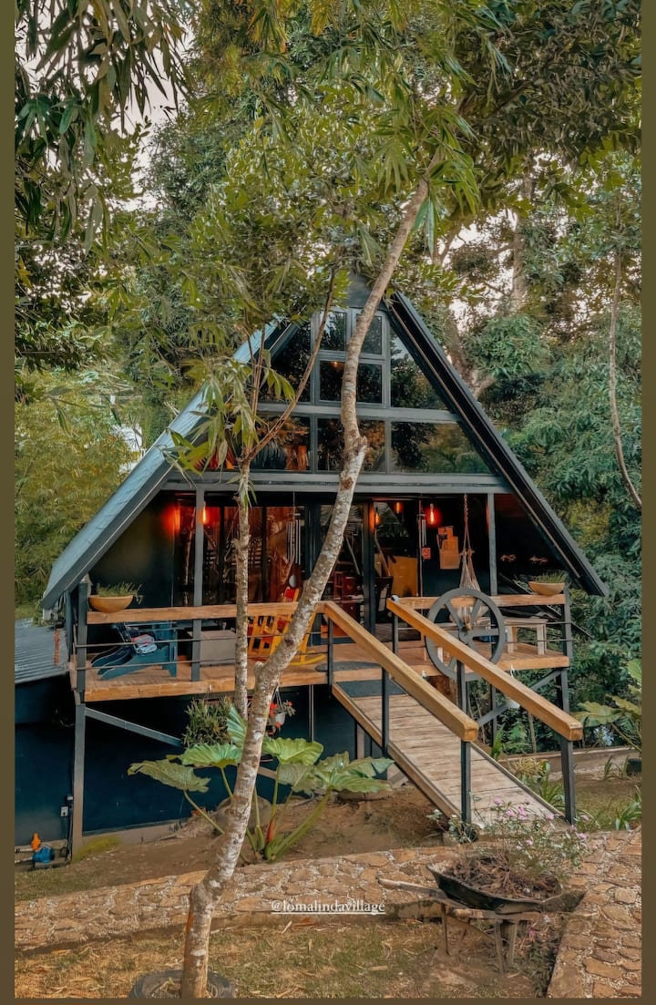 Alpina Conejo Cabina Negra - Dominican Republic