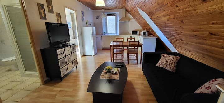 Appartement T3 Centre-ville - Pyrénées