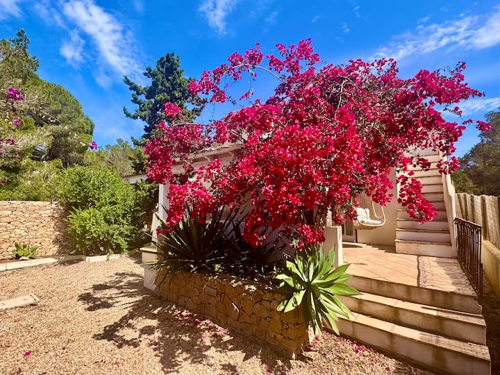 Villa "Hippie Chic" 6/8 Pers - Formentera