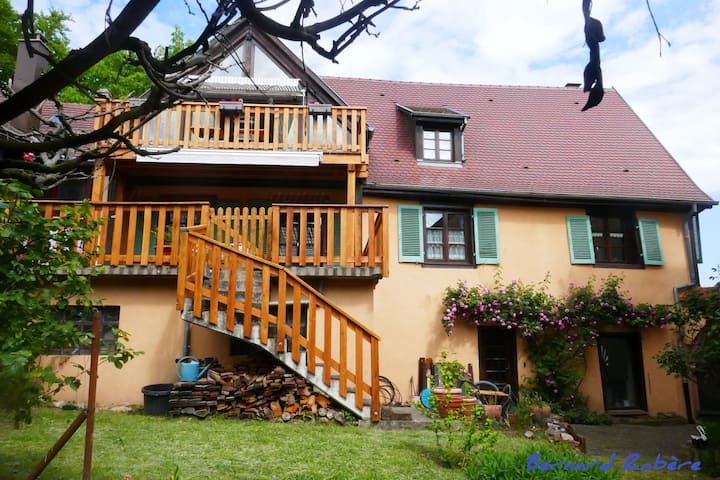 2ar-sud Face Vosges Vignoble Confortable - Ammerschwihr