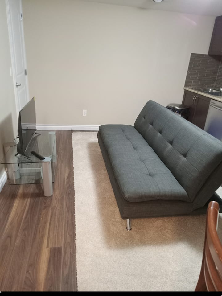 Remote-work Ready 1 Bedroom Basement Suite - Fort McMurray