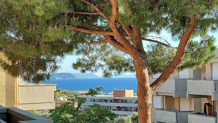 Appartamento Silvia  Terrazza Vista Mare - San Vincenzo