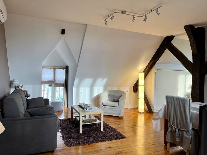 Le Clos Audy Gîte Près De Chambord - Bracieux