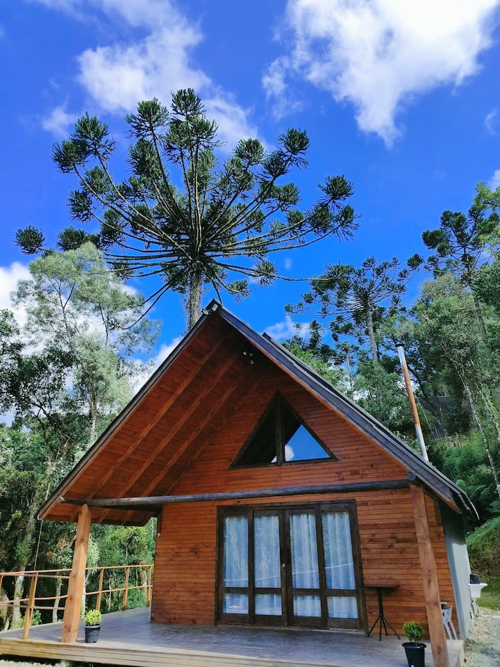Urubici Casa De Campo Pinheiro Cipó - Urubici