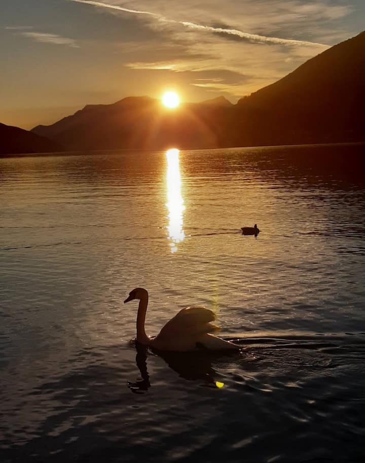A  2  Passi Dal Lago - Caslano