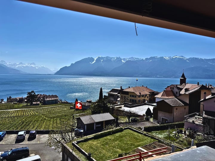 Geneva - Nice Place In Lavaux - Lake Geneva