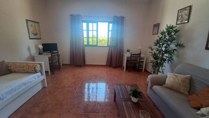 Finca Las Brujas A, Ocean View. - Garachico