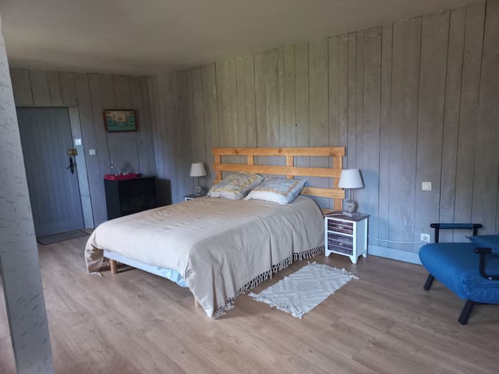 Chambre Hôte Ctre-ville  Grange Aux Mille Feuilles - Castres