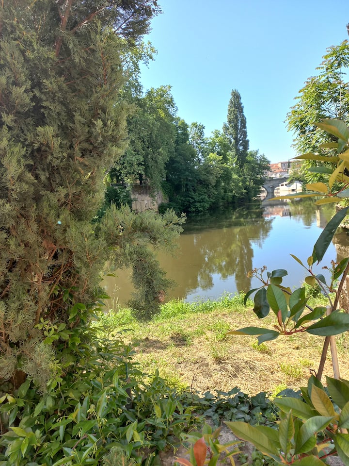 Chambre Hôte Ctre-ville  Grange Aux Mille Feuilles - Castres