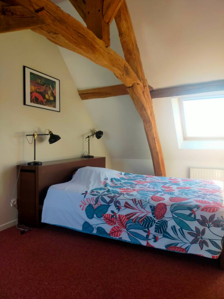 Duplex Des Chais, Parking, Jardin. - Orléans
