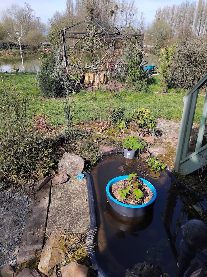 Studio à Broceliande - Le Château du Pin