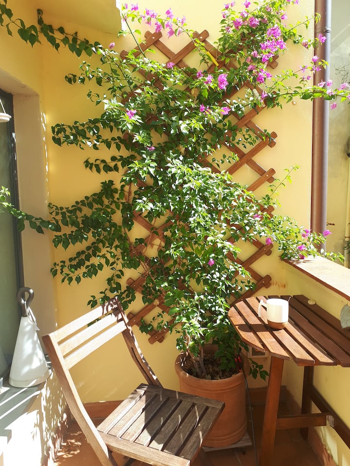 L'angolo Verde Di S.niccolò - Florenz