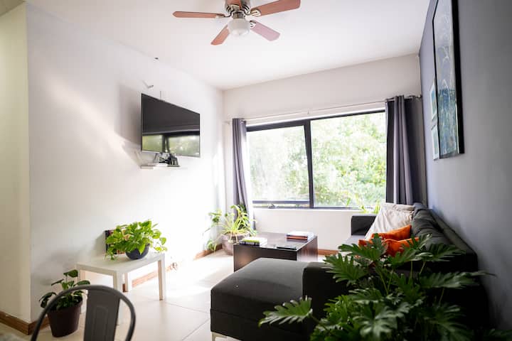 Promo! American Quarter, Great Price, Bbq Terrace - Guadalajara, Jalisco, Mexique