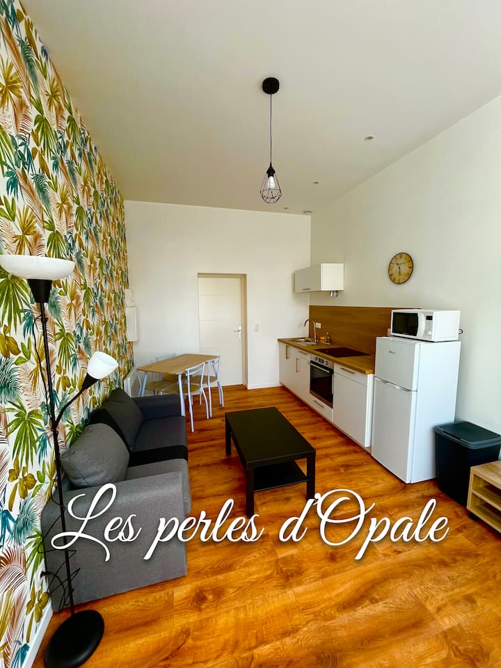 Les Perles D'opale - Le Petit Sablé - Hyper Centre - Boulogne-sur-Mer