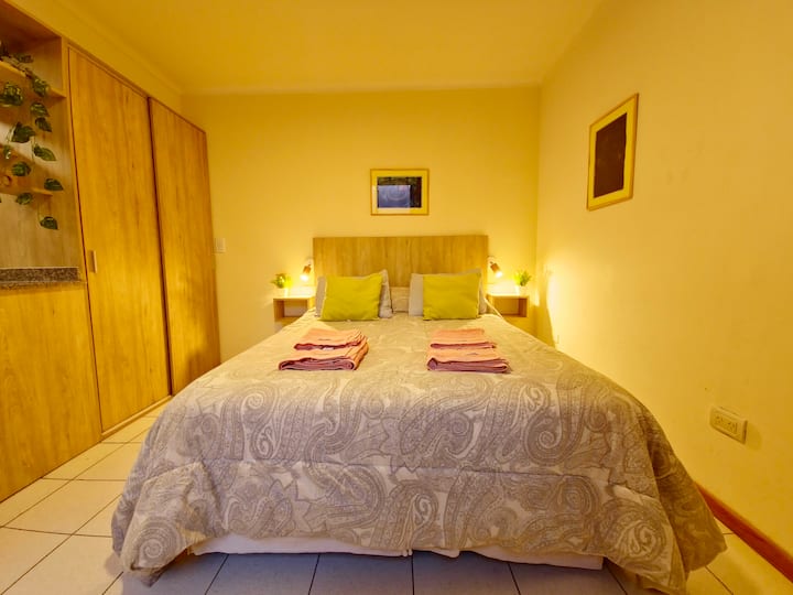 Cozy Studio Apt. In Downtown Mendoza - Mendoza