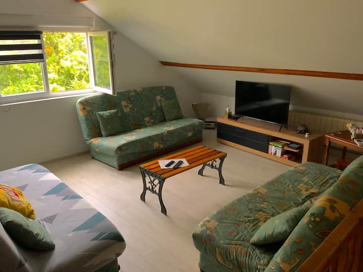 2 Chambres 2 Lits Salle D'eau Wc Privatif - Vesoul