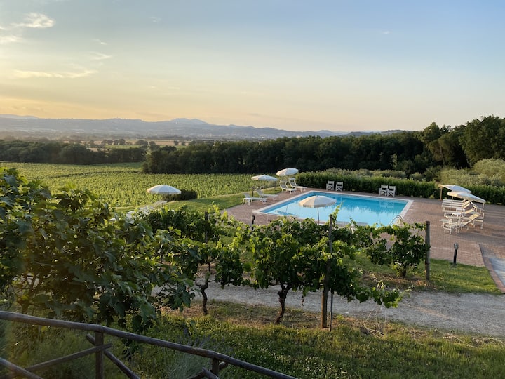 Agriturismo Poggio Alle Vigne - 佩魯賈