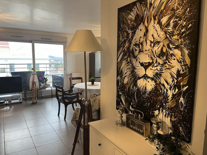 Un Appartement Et Terrasses - Sainte-Foy-lès-Lyon