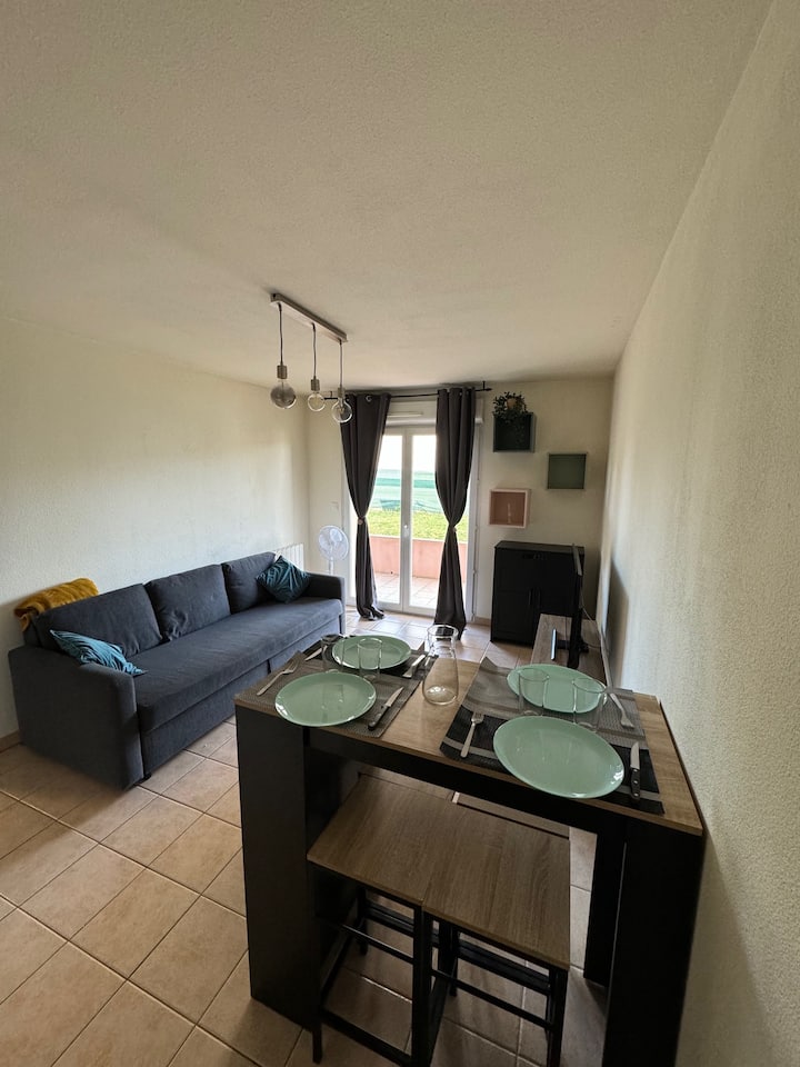Le Cocon Cosy - T2 - Parking Privé Gratuit - Wifi - Carcassonne