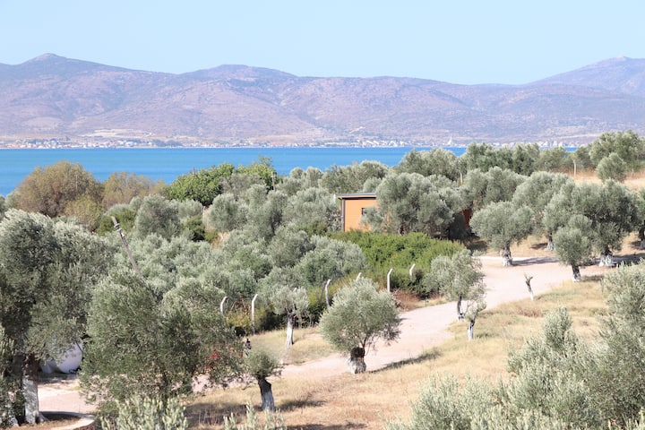 Not So Tiny Home With Sea View - Urla