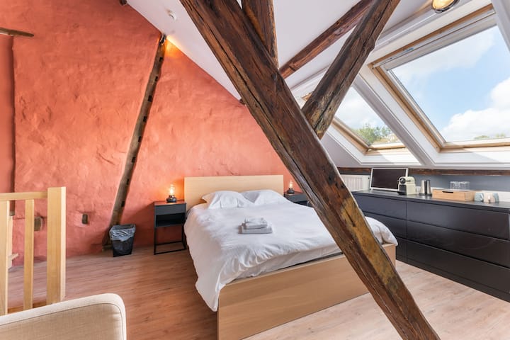 Amazing Loft In Historical House The Lake Suites - Bruges