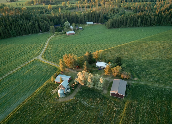 Talo Peltojen Keskellä - Punkalaidun