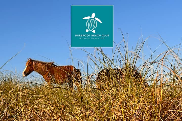Barefoot Beach Club: Atlantic Beach Family Retreat - Morehead City, NC