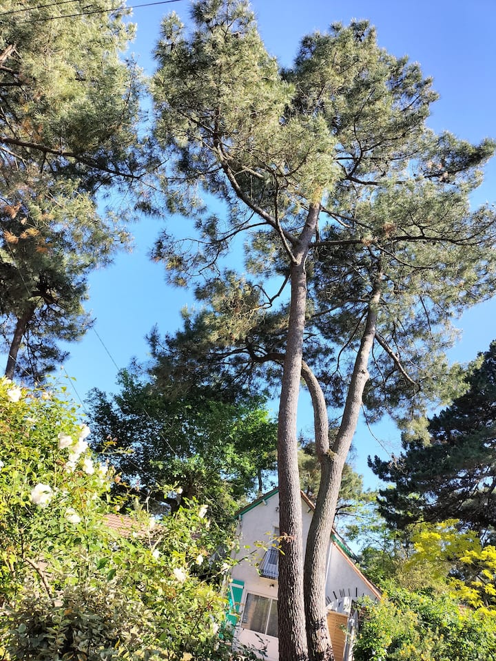 Maison 50 Métres De La Plage - Saint-Brevin-les-Pins