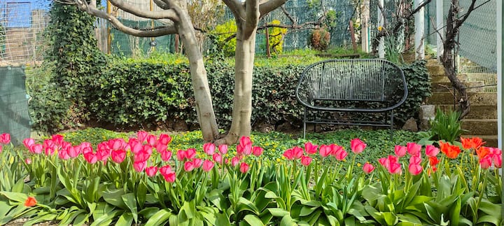 Jardin Barbecue Chaine Des Puys Clermont Ferrand - Clermont-Ferrand