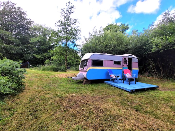 Relaxing & Private Stay Surrounded By Nature - Narberth