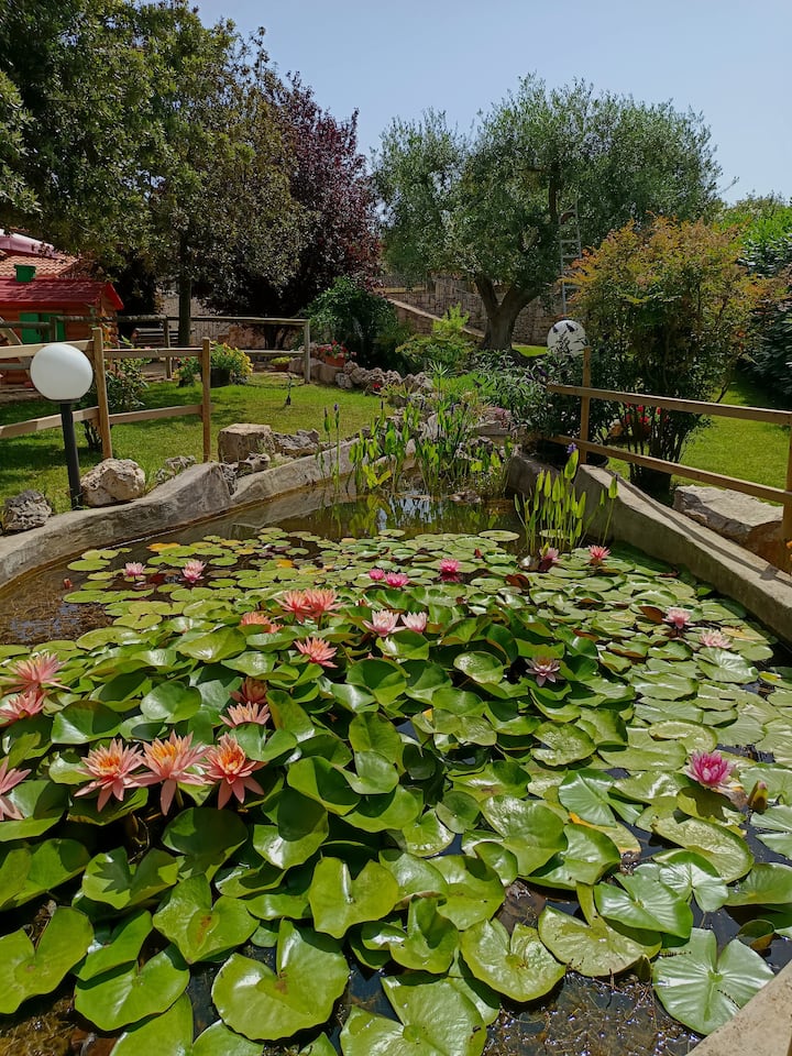 Trullo Immerso Nel Verde Pugliese - Alberobello