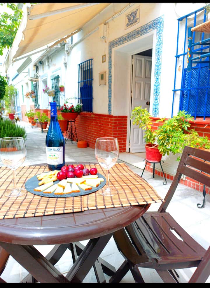 Típico Y Pintoresco Patio De Vecinos, Con Encanto - Sevilla, España